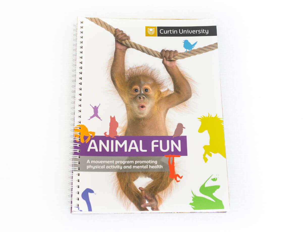 Manual - Animal Fun