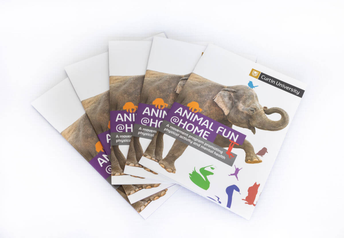 At Home Pack (pack of 5) - Animal Fun